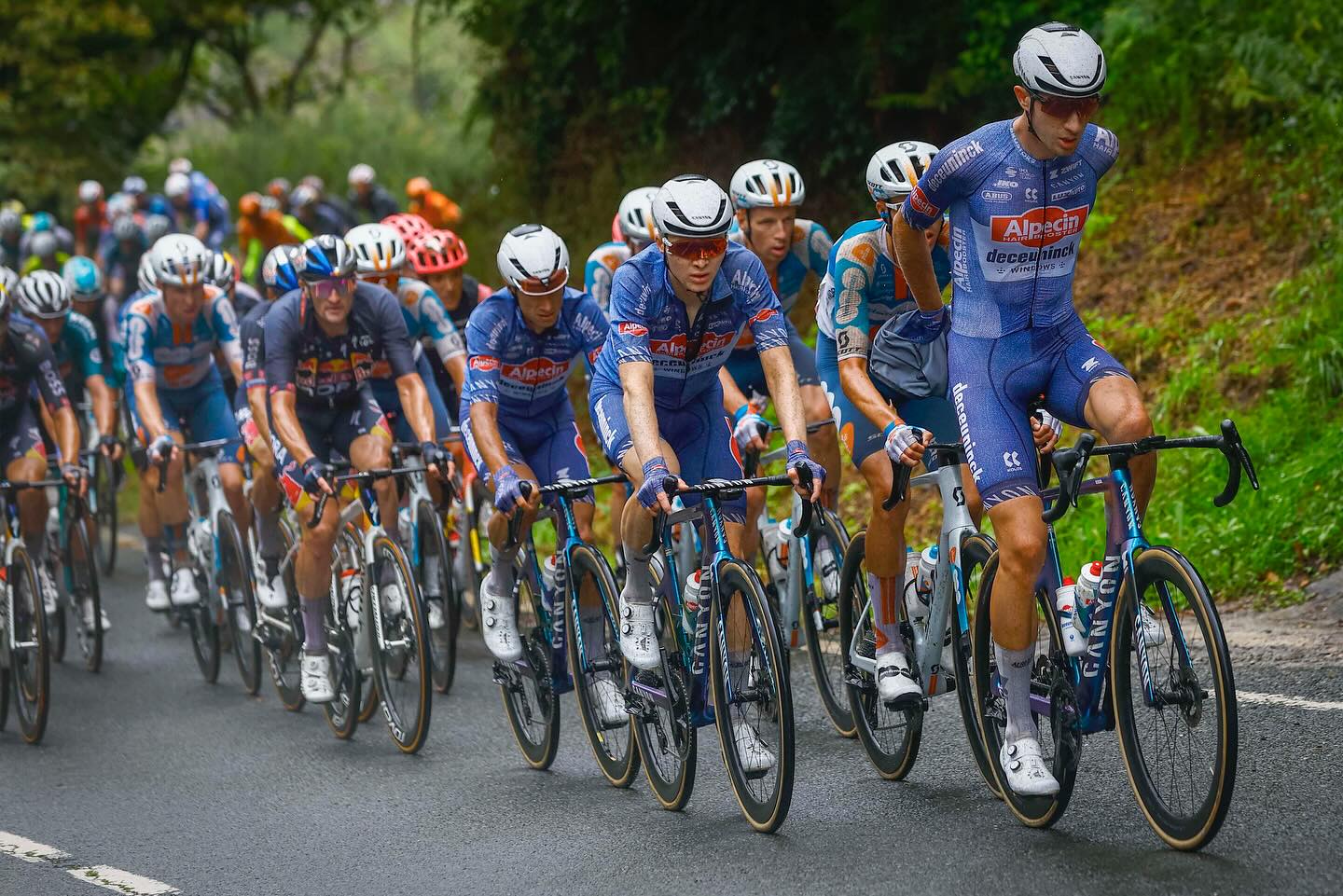 Figueira Champions confirma presença de mais duas equipas World Tour ...